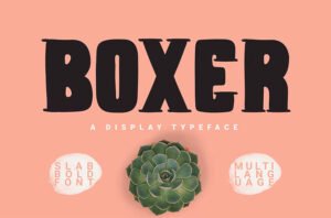 Boxer Font - FreeDaFonts