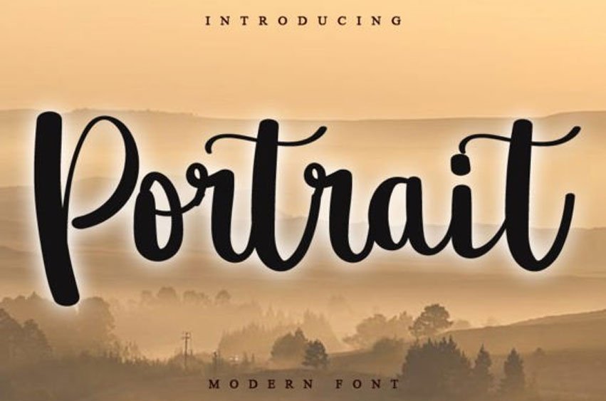 Portrait Font - FreeDaFonts